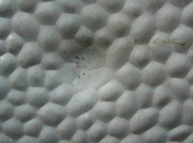 Re: Beulenpest - die andere Art (1990 Klicks)